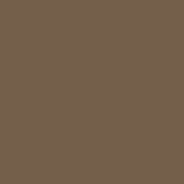 MICA PAINT SEPIA BRONZE 70/S – Teknion MDC Development